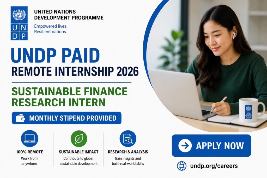 UNDP Paid Remote Internship 2026: Sustainable Finance Research Intern ...